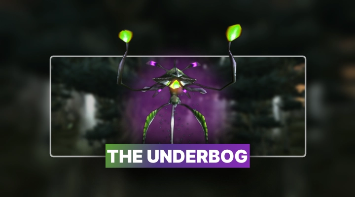 Buy TBC Anniversary The Underbog Boost - Full Run Carry